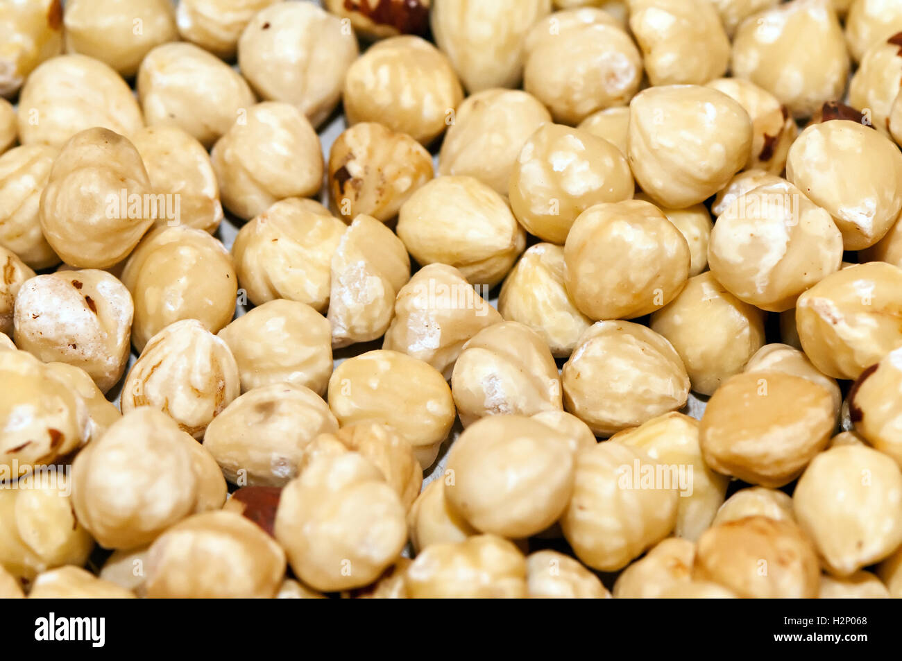 Close up of hazel nuts Stock Photo - Alamy