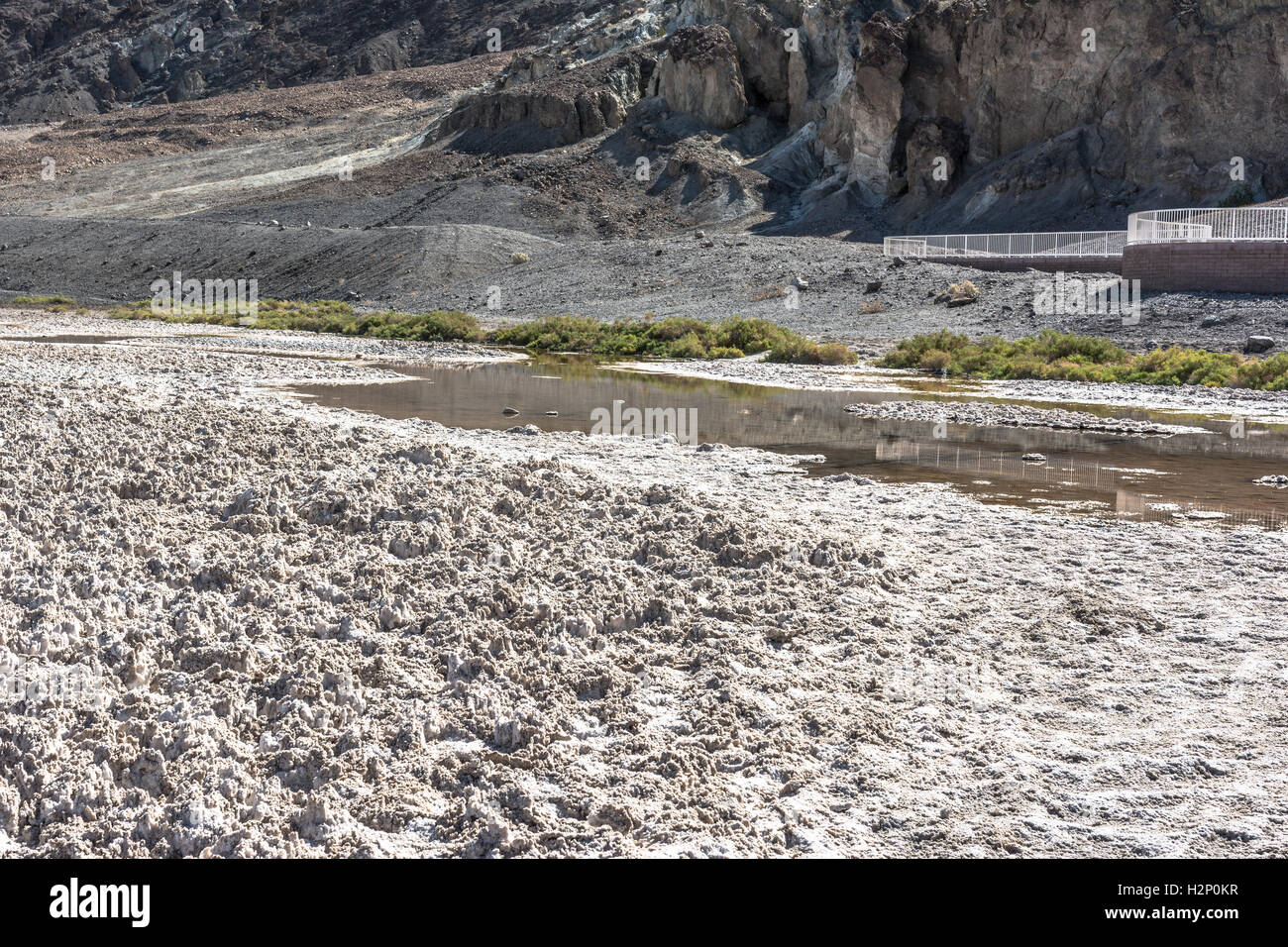 Badwater pool in Death Valley National Park, California Stock Photo - Alamy