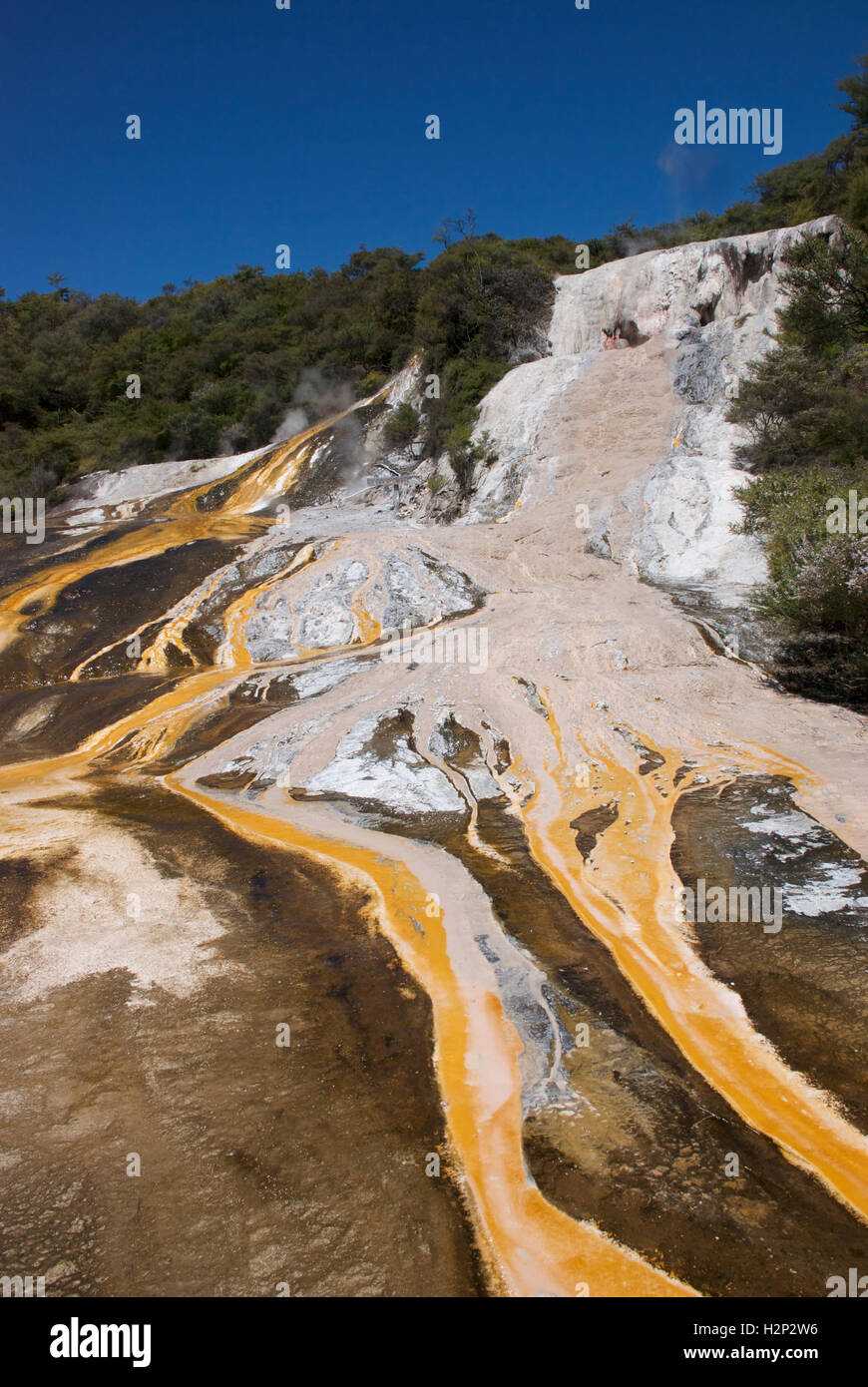Colorful thermal landscape at Orakei Korako Geothermal Park also known ...