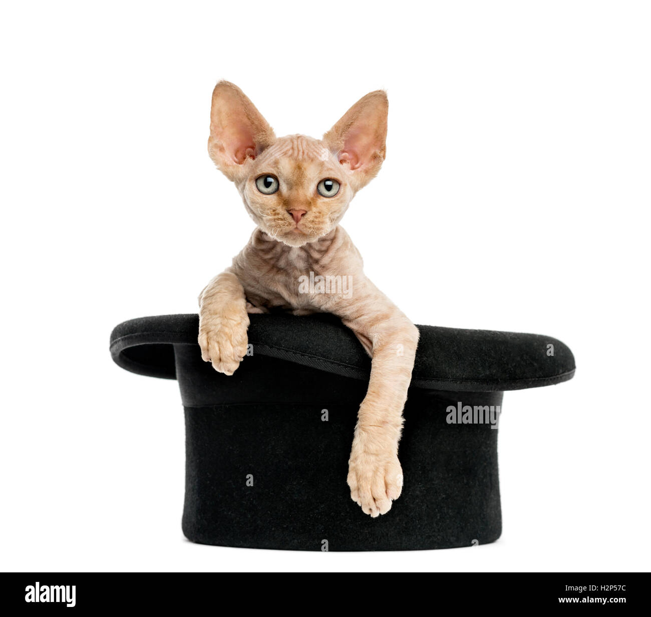 Front facing hat Cut Out Stock Images & Pictures - Alamy