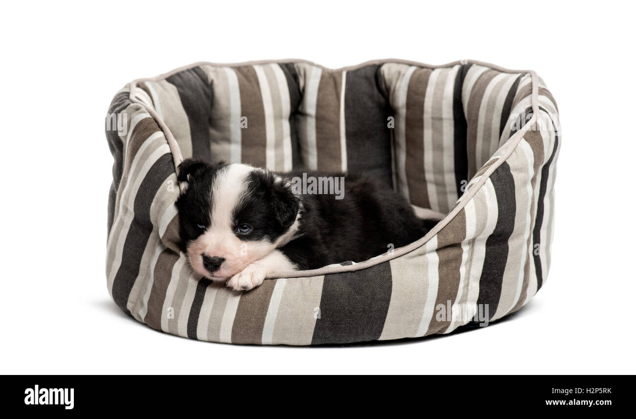 Crib Cut Out Stock Images & Pictures - Alamy