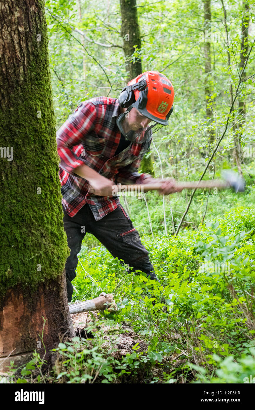 Felling axe hi-res stock photography and images - Alamy