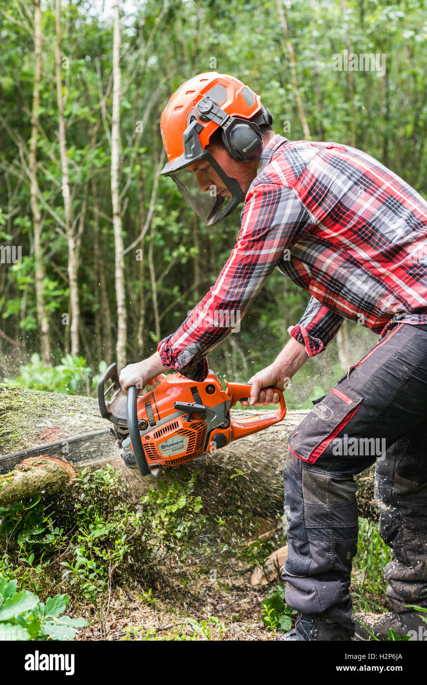 Lumberjack cutting a tree with chainsaw Stock Photo - Alamy