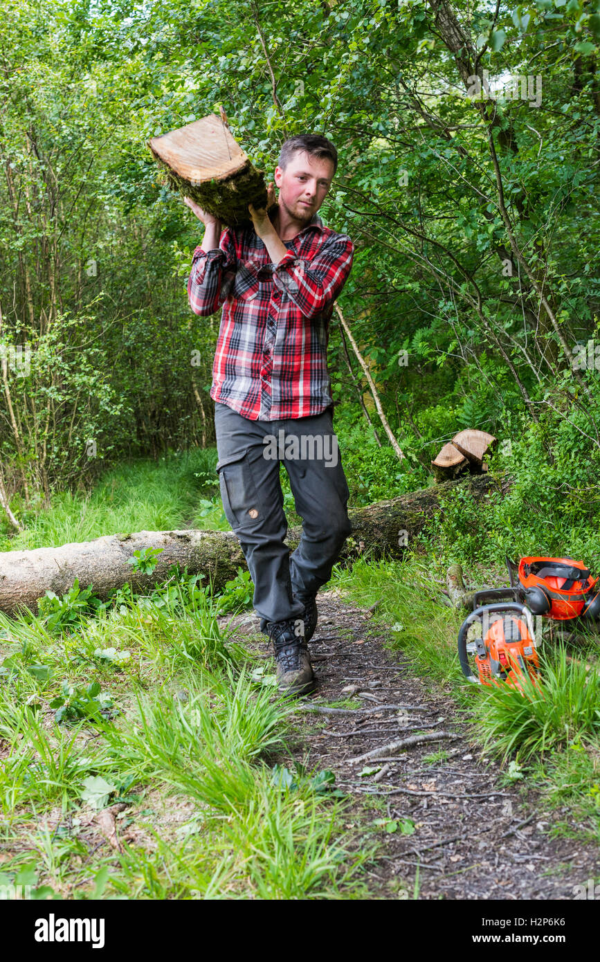 Man carrying a tree trunk Stock Photo - Alamy