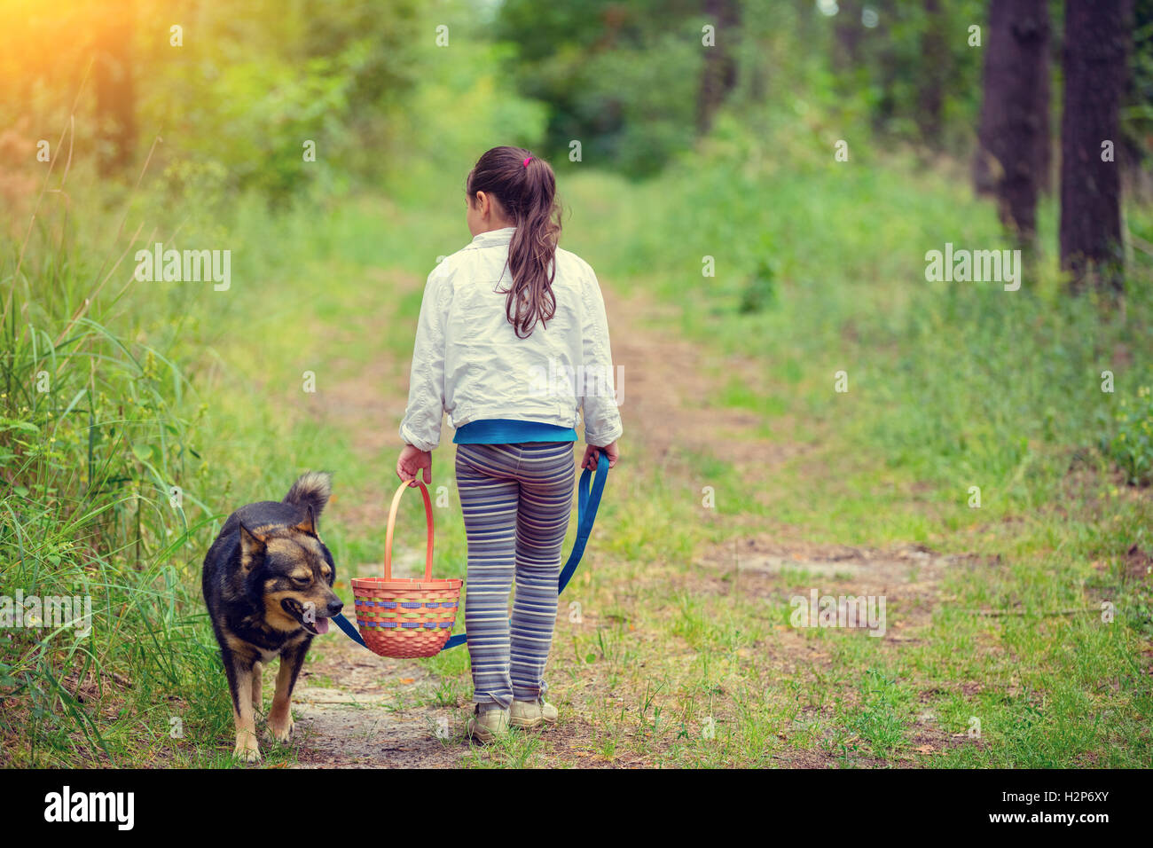 Happy little girl walk with dog in the forest Stock Photo - Alamy