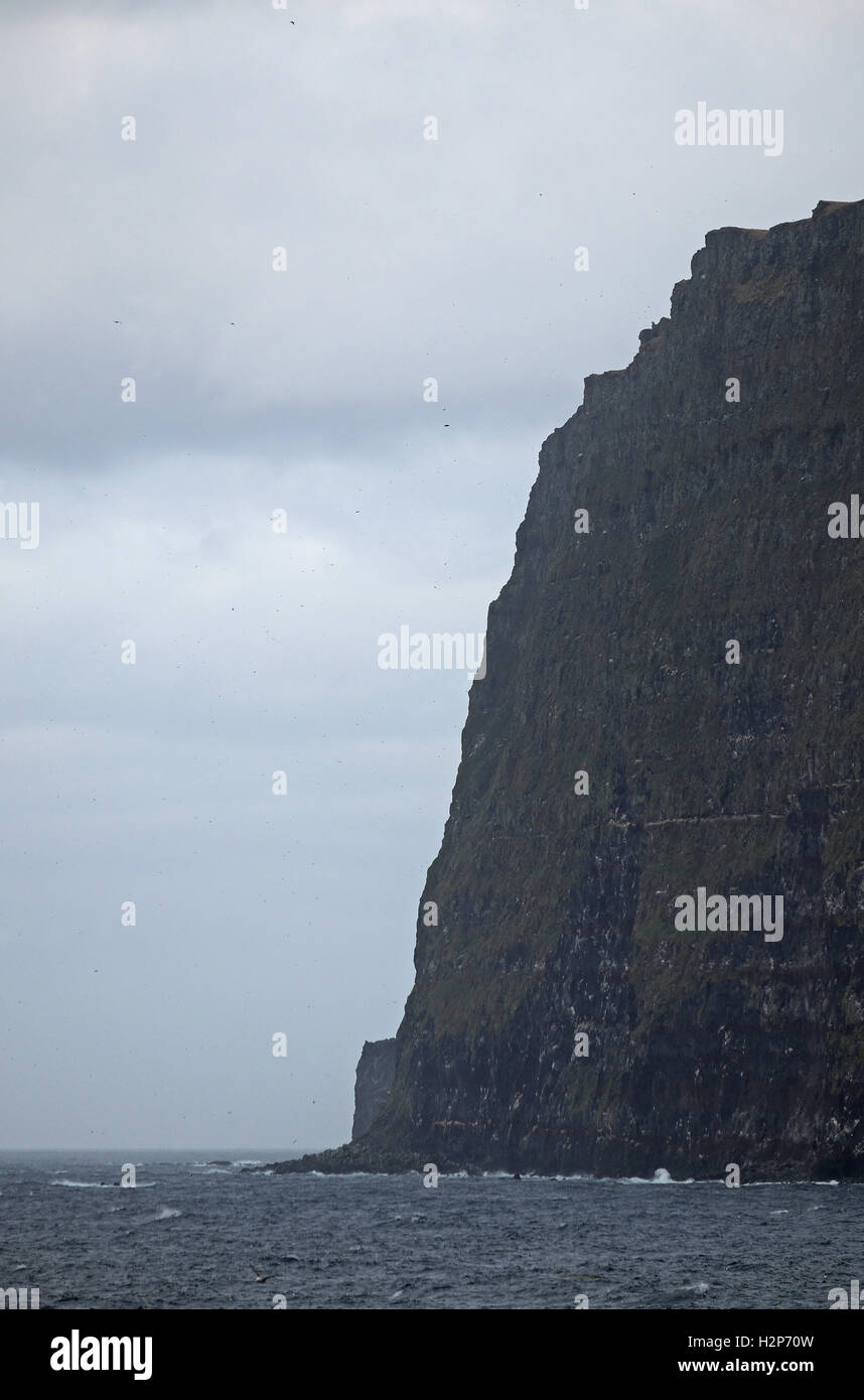 Latrabjarg cliffs, Westfjords, Iceland Stock Photo - Alamy