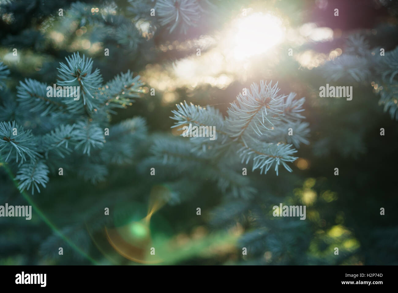 Blue light leak hi-res stock photography and images - Alamy