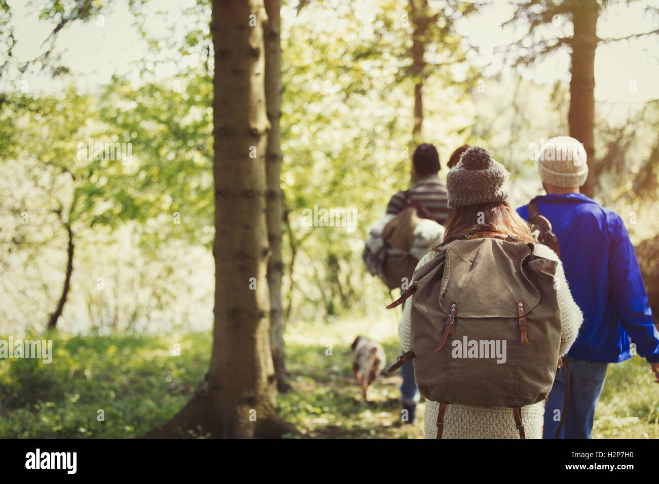 Friends backpacking hiking in woods Stock Photo - Alamy