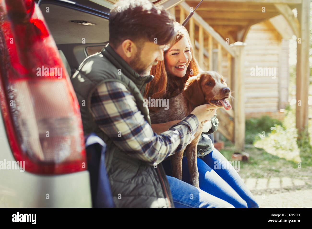 Back view of couple dog looking hi-res stock photography and images - Alamy