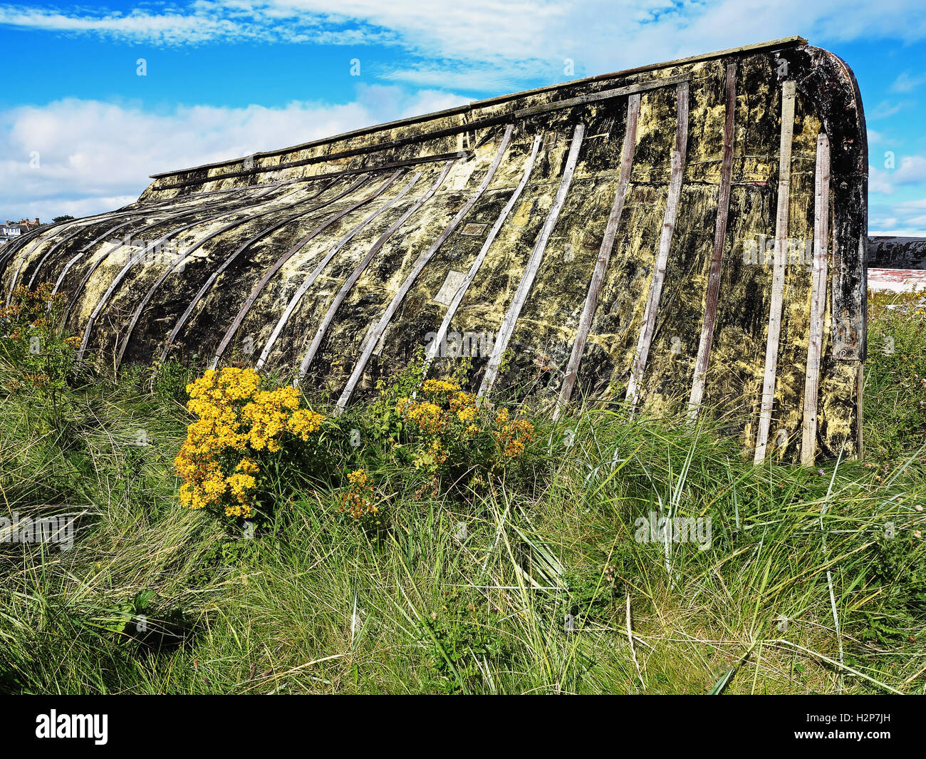 The inverted hull of a fishing boat at Lindisfarne Stock Photo - Alamy