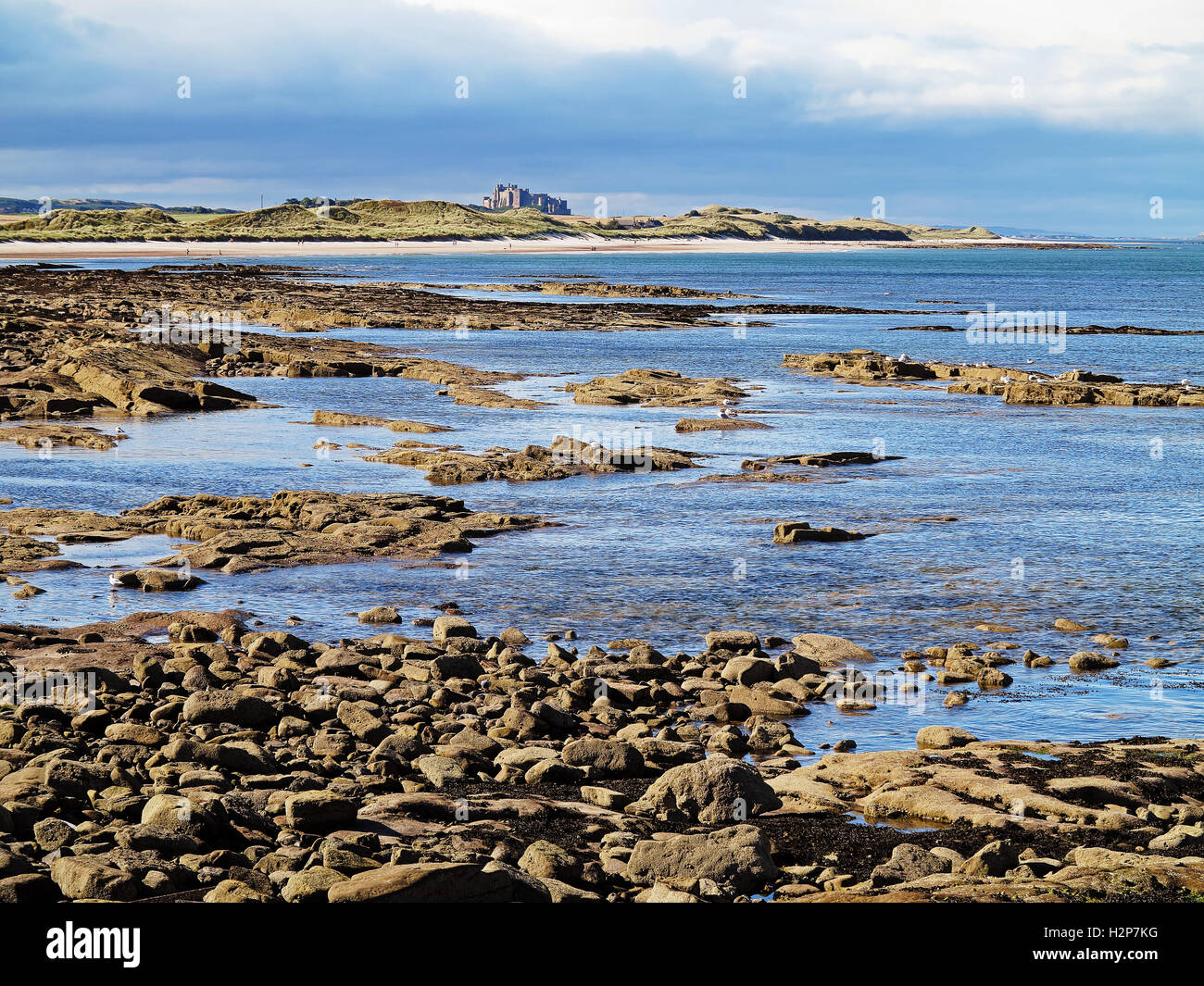 Distant Bamburgh Castle, viewed from Seahouses Stock Photo - Alamy