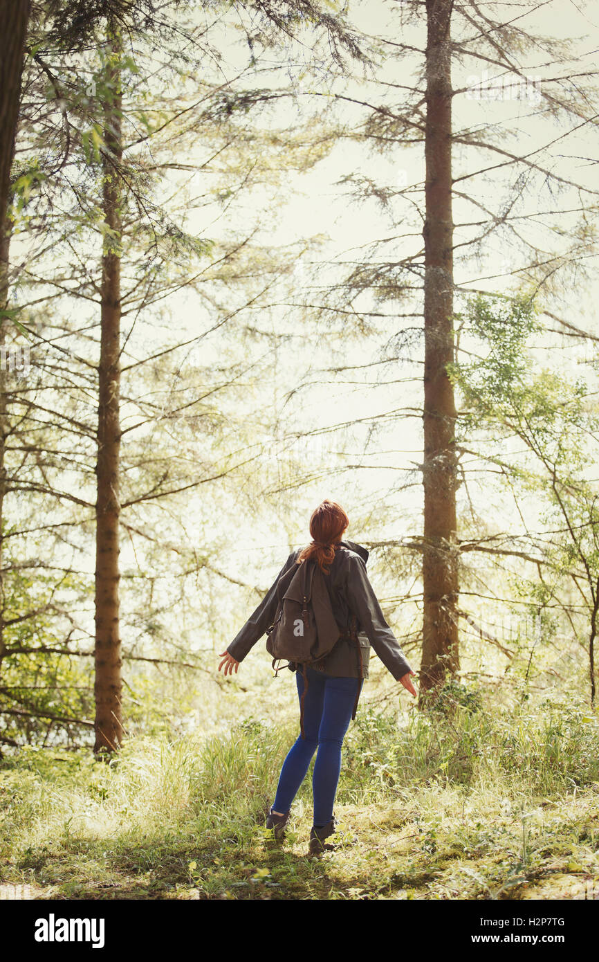 Woman with backpack looking up at trees in sunny woods Stock Photo - Alamy