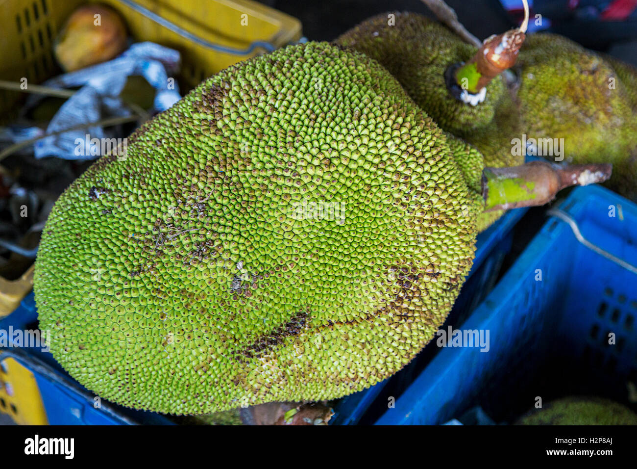 Jackfruit pattern hi-res stock photography and images - Alamy
