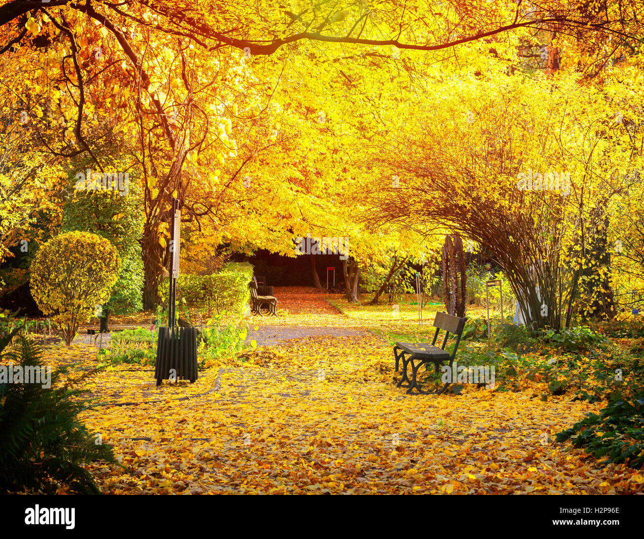 Fall park path Stock Photo - Alamy
