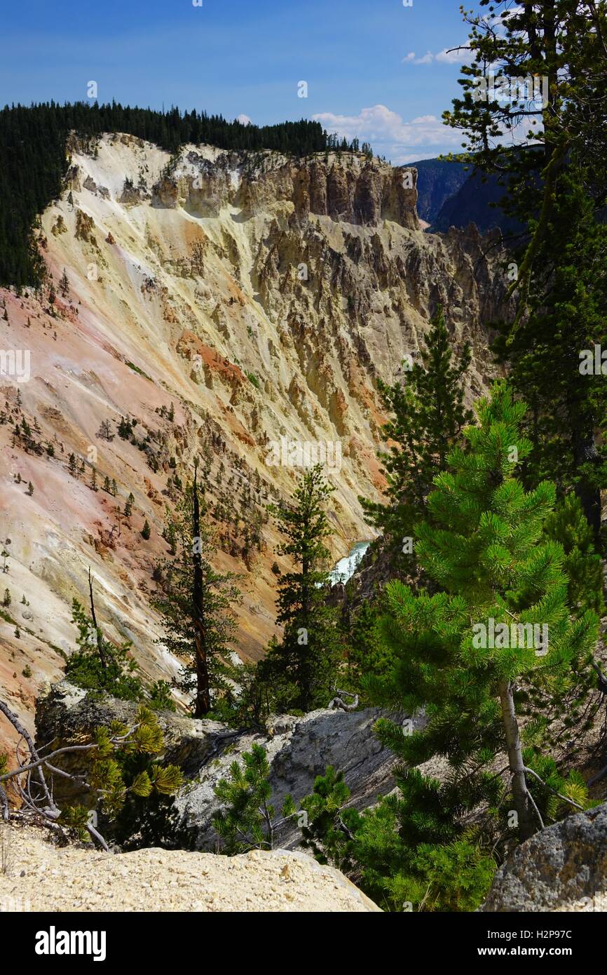 Grand canyon of the Yellowstone, Yellowstone National Park. Rhyolite ...