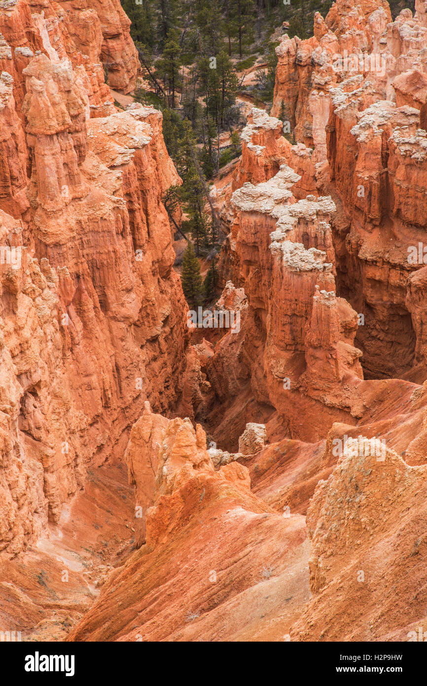 Landscape in Bryce National Park Utah USA Stock Photo - Alamy