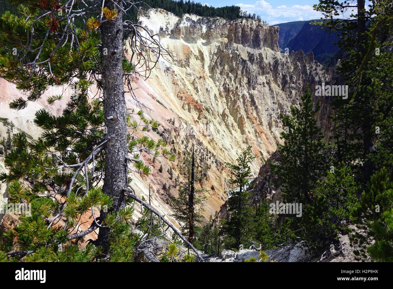 Grand canyon of the Yellowstone River. The formations, principally ...