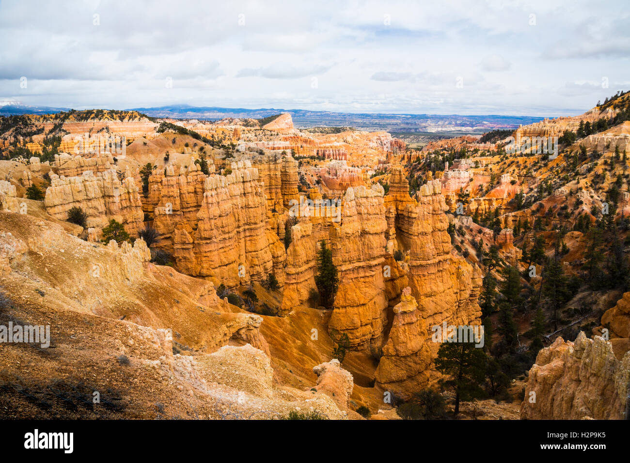Landscape in Bryce National Park Utah USA Stock Photo - Alamy