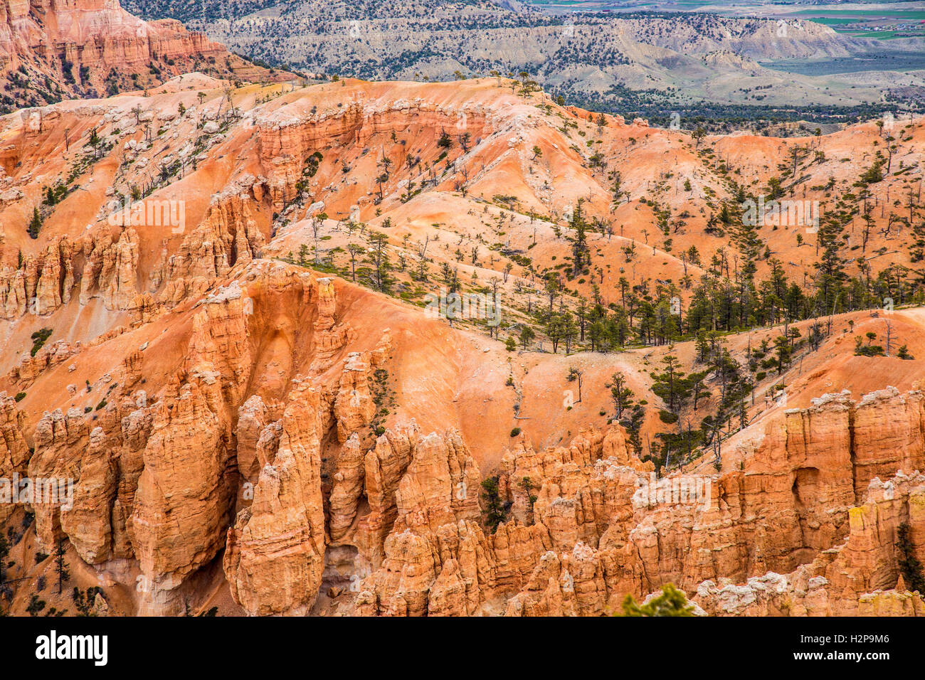 Landscape in Bryce National Park Utah USA Stock Photo - Alamy