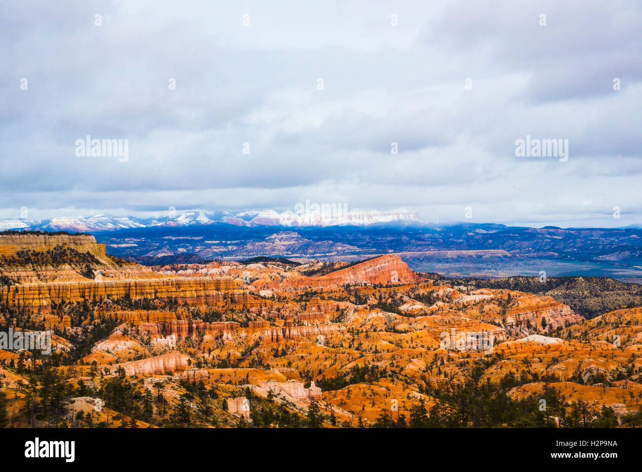 Landscape in Bryce National Park Utah USA Stock Photo - Alamy