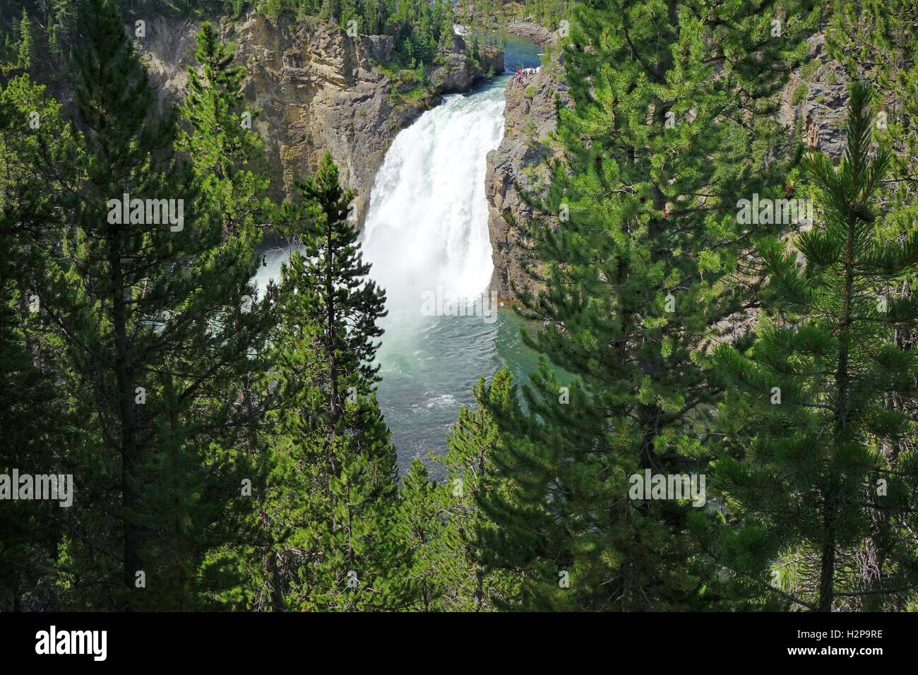 Upper falls of the Yellowstone river, Yellowstone National Park Stock ...