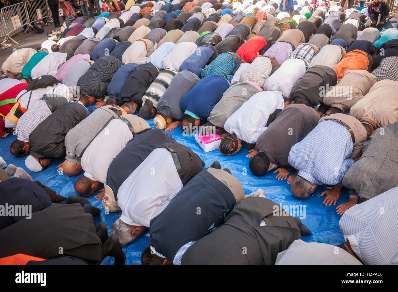 Muslims from the tri-state pray on Madison Avenue in New York on Sunday ...