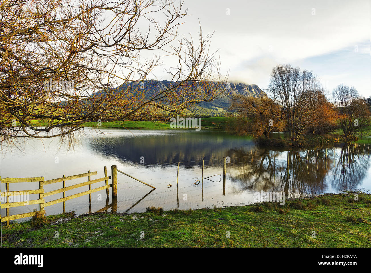 afternoon sun over farmland at mount roland Stock Photo - Alamy