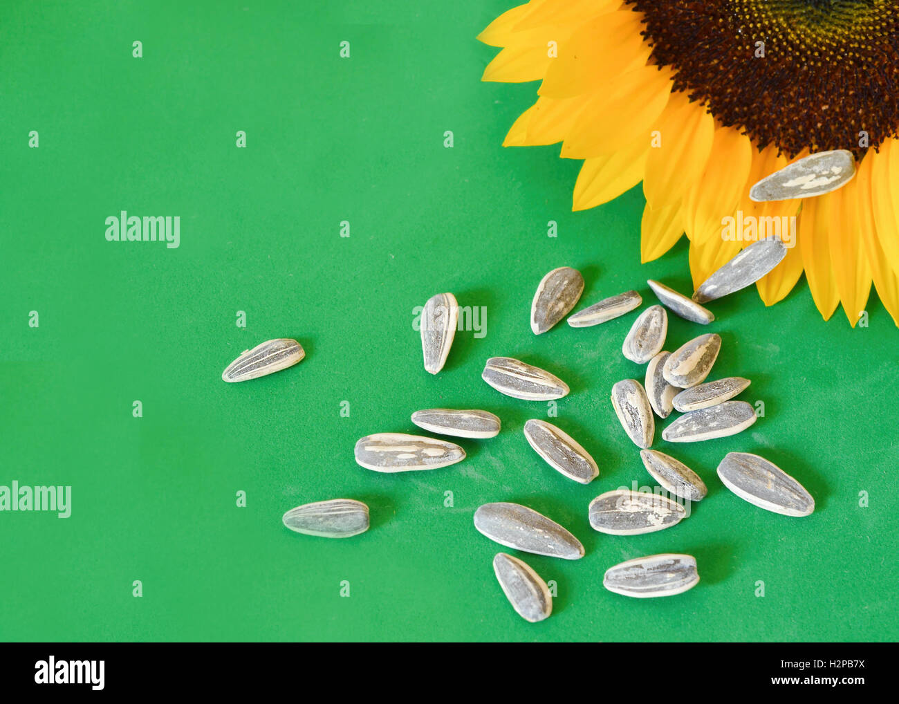 Unshelled sunflower seeds hi-res stock photography and images - Alamy