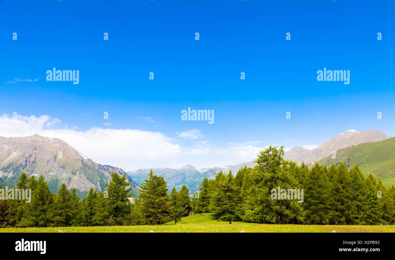 Wonderful view on Italian Alps with a forest background during a summer ...
