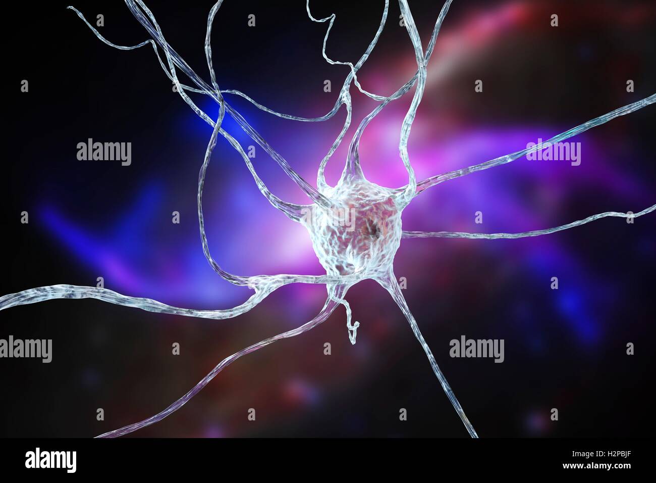 Nerve cell. Computer artwork of a nerve cell, or neuron Stock Photo - Alamy