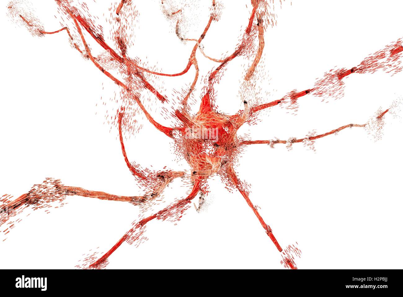 Disorders of the nervous system hi-res stock photography and images - Alamy