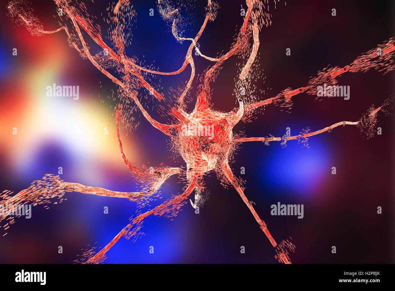 Cell Disorders High Resolution Stock Photography and Images - Alamy