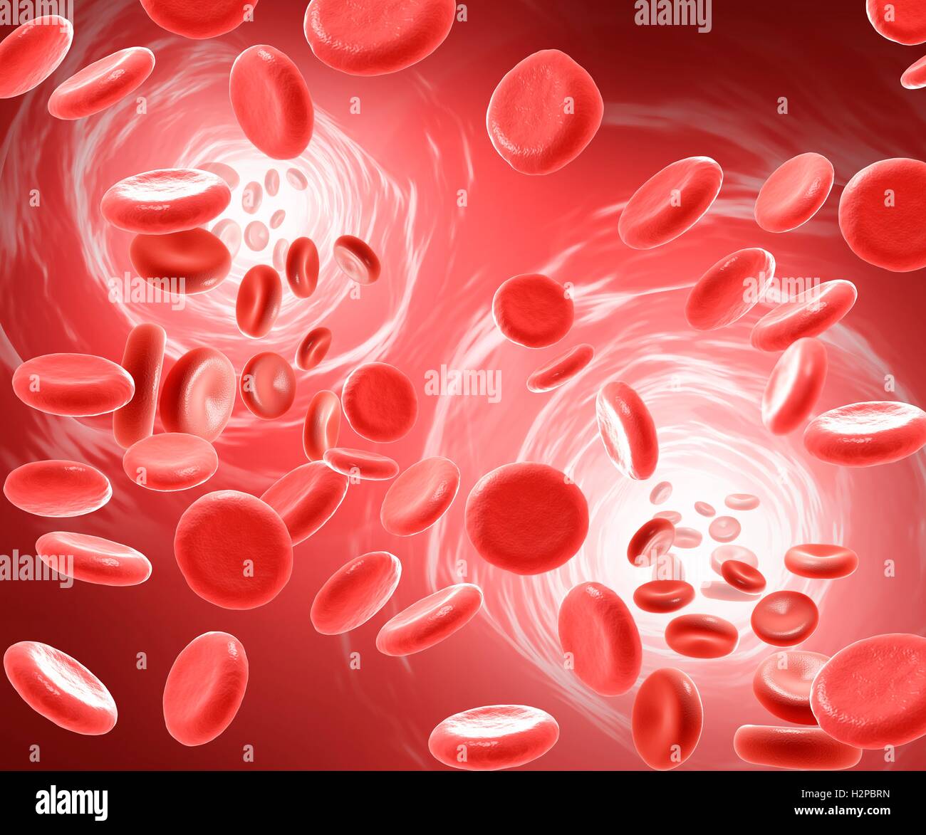 Illustration of red blood cells Stock Photo - Alamy