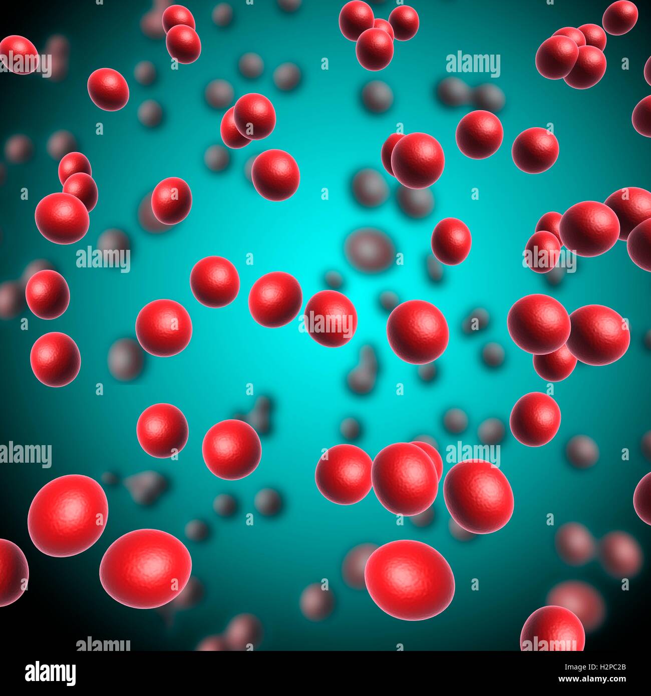 Illustration of spherical bacteria (cocci Stock Photo - Alamy
