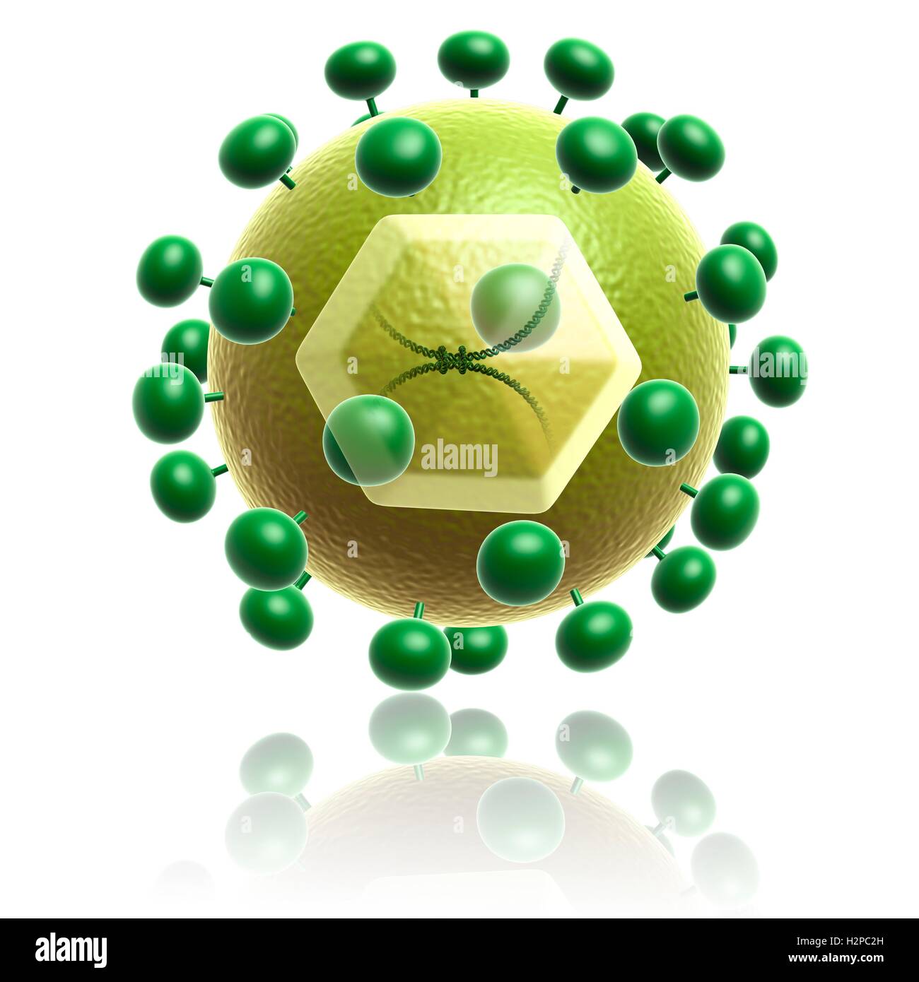 Illustration of an HIV virus particle Stock Photo - Alamy