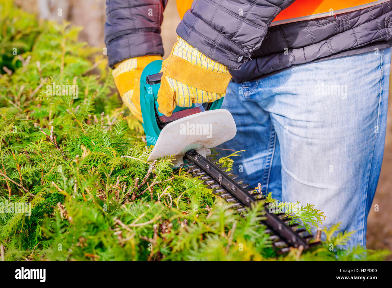 Landscape worker with bush cutter Stock Photo - Alamy