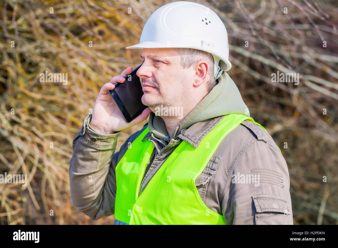 Forest engineer talking on cell phone near pile of twigs Stock Photo ...