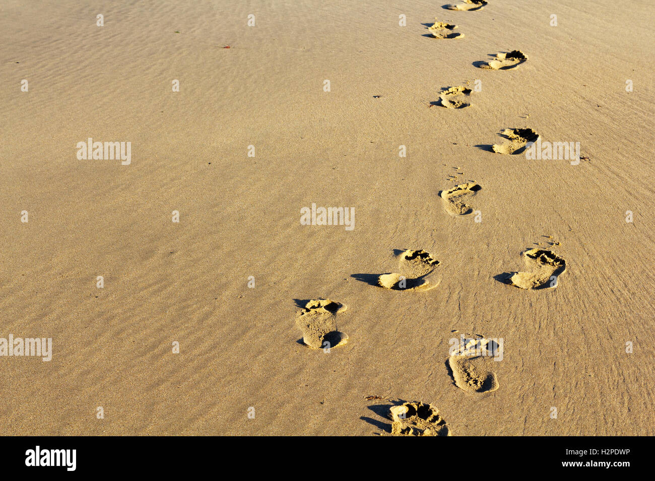 Footprints in the sand on Polzeath beach, Cornwall Stock Photo - Alamy