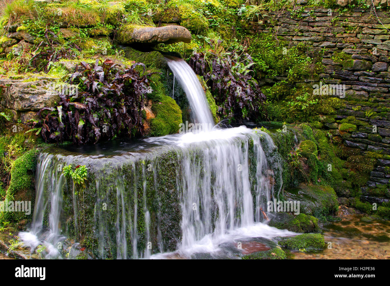 water flowing from a stone statue of a crocodiles head into a small ...