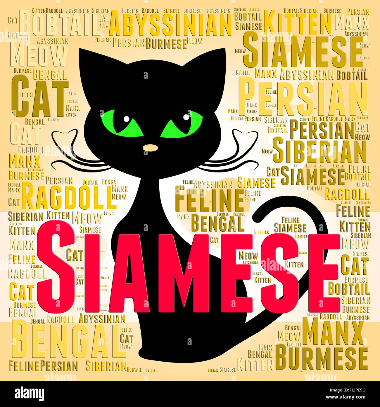 Siamese Cat Meaning Reproducing Offspring And Domestic Stock Photo - Alamy