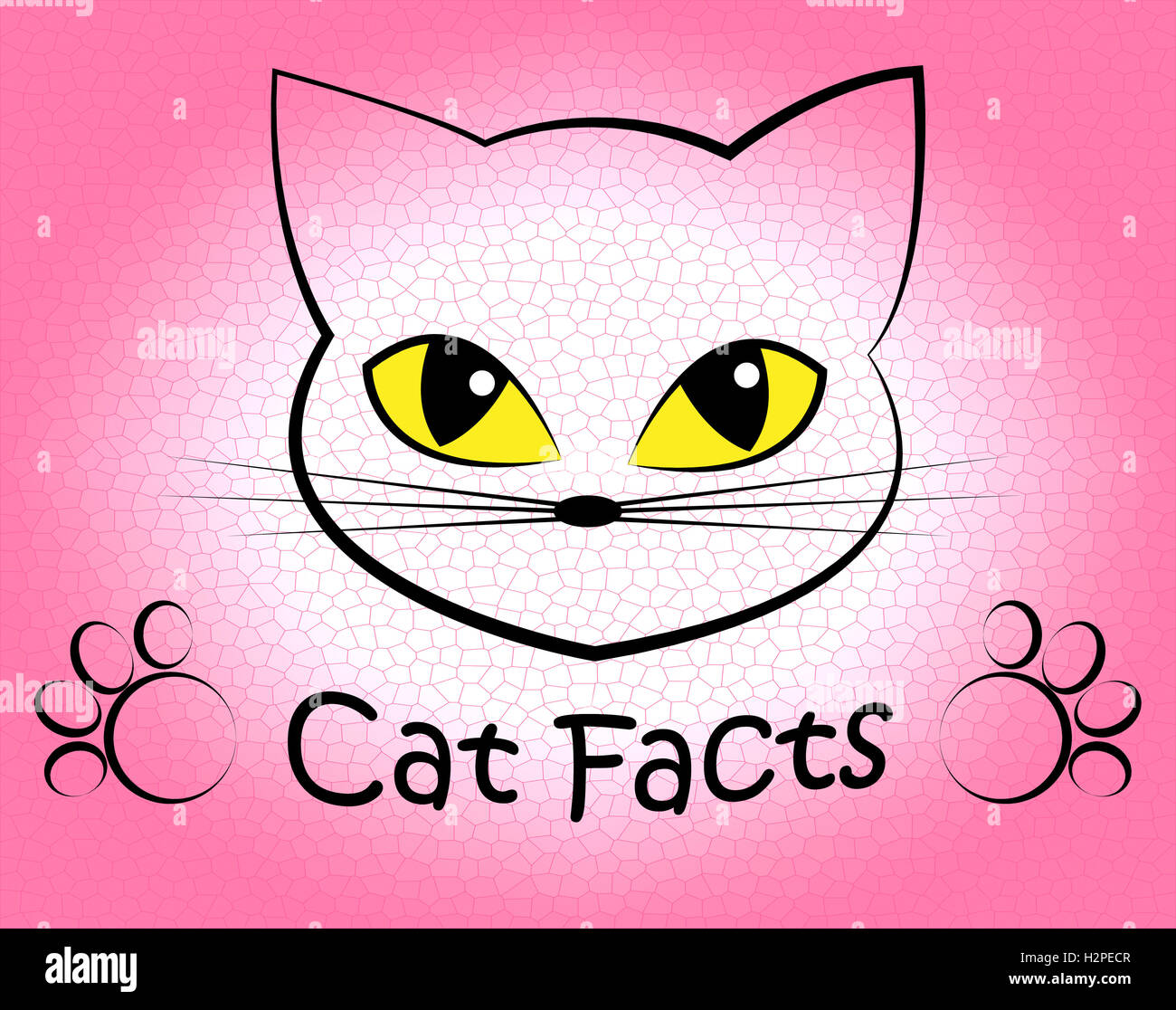 Cat Facts Representing Truth Info And Feline Stock Photo - Alamy