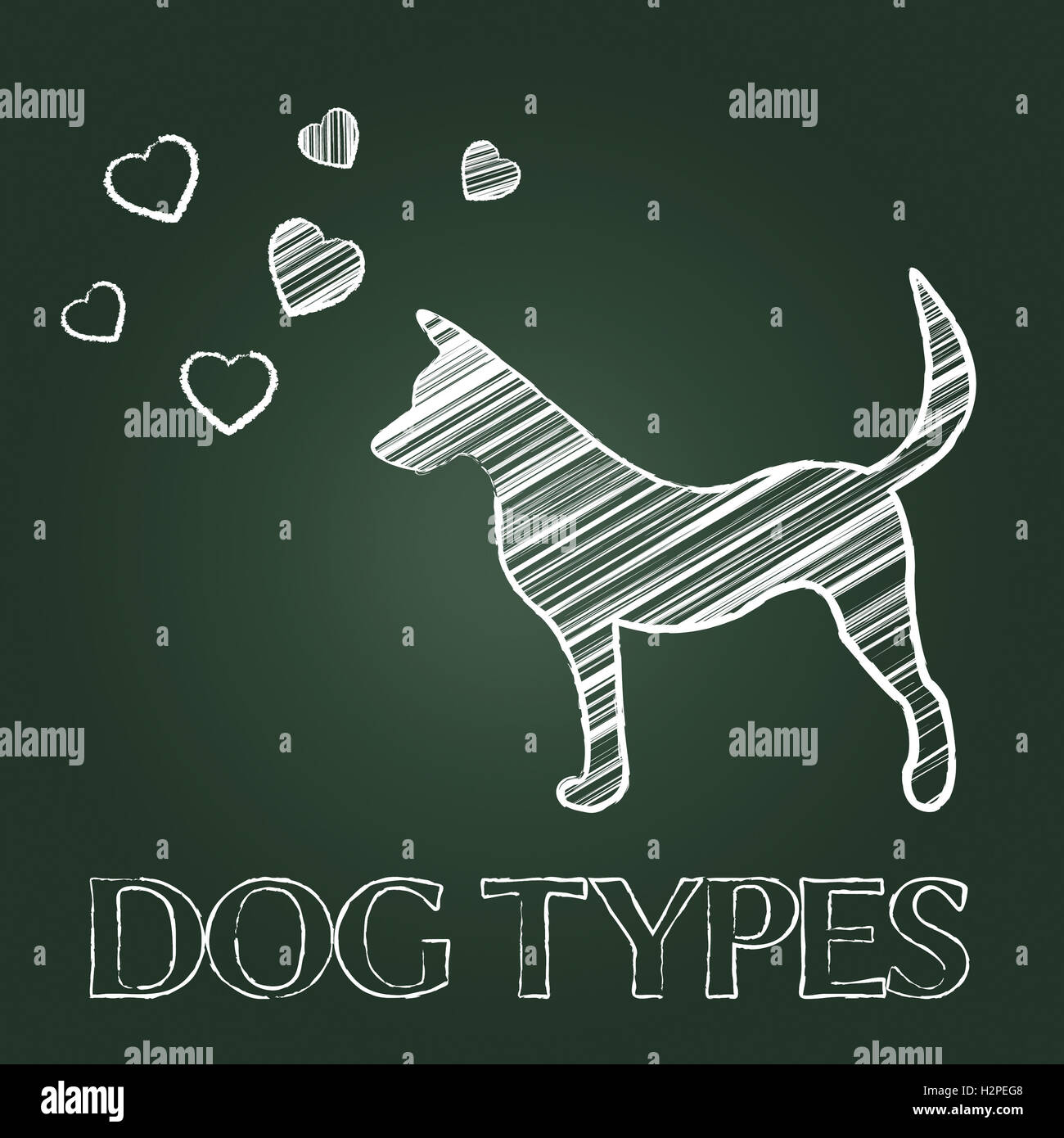 Dog Types Indicating Categories Pets And Canines Stock Photo - Alamy