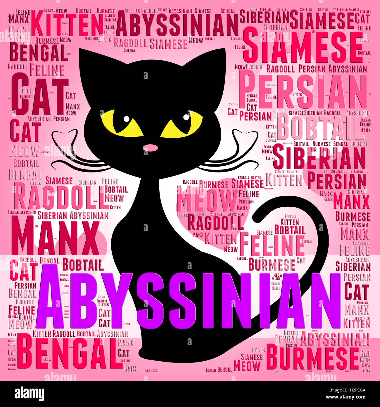 Abyssinian Cat Showing Domestic Kitty And Offspring Stock Photo - Alamy