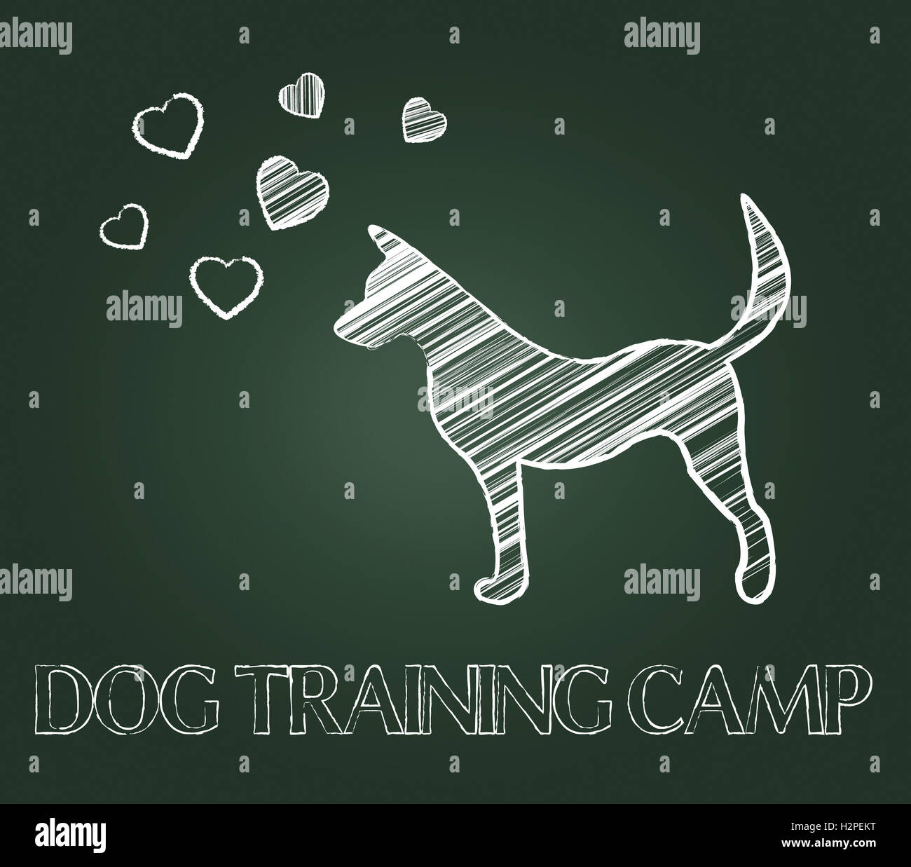 Dog trainer dog trainers hi-res stock photography and images - Alamy