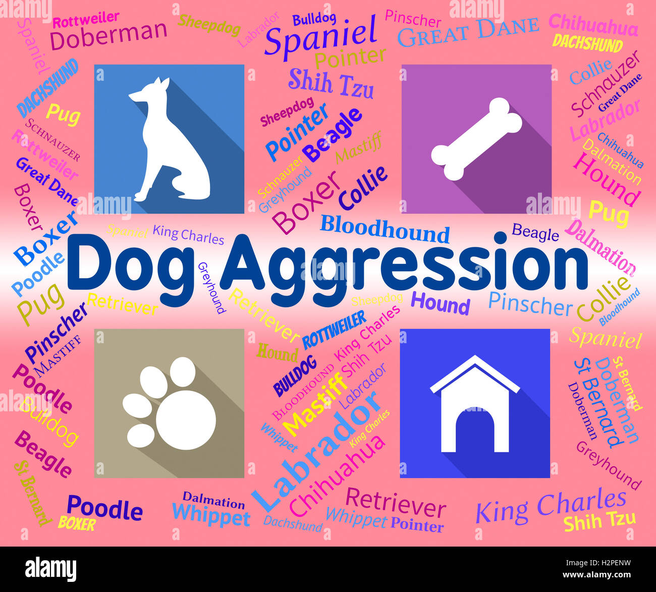 Dog Aggression Indicating Attack Assault And Threatening Stock Photo ...