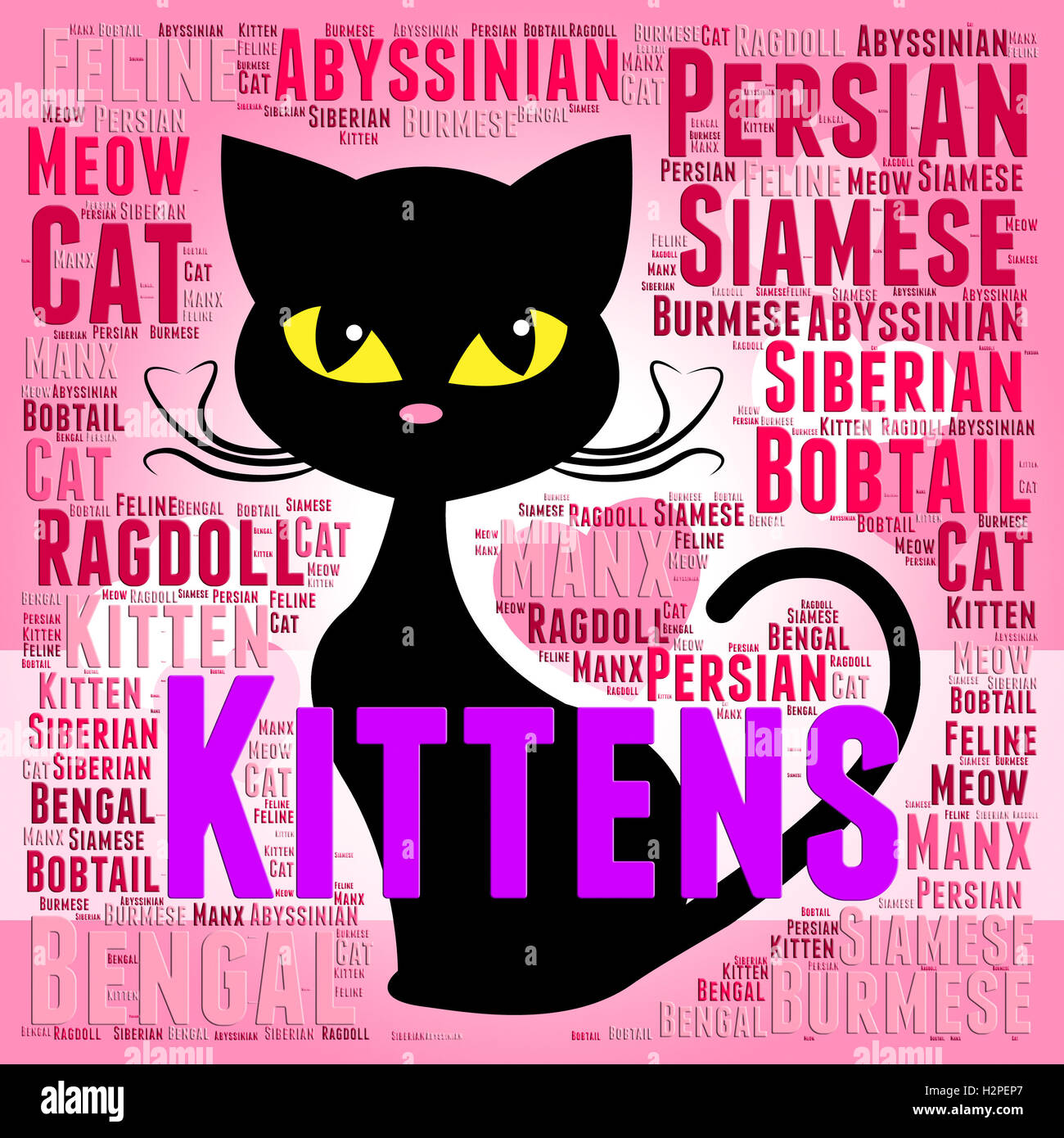 Cat words hi-res stock photography and images - Alamy