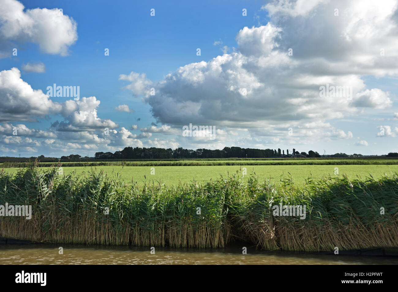 Green Grass Farm Farming Landscape Friesland Fryslan Netherlands Stock ...