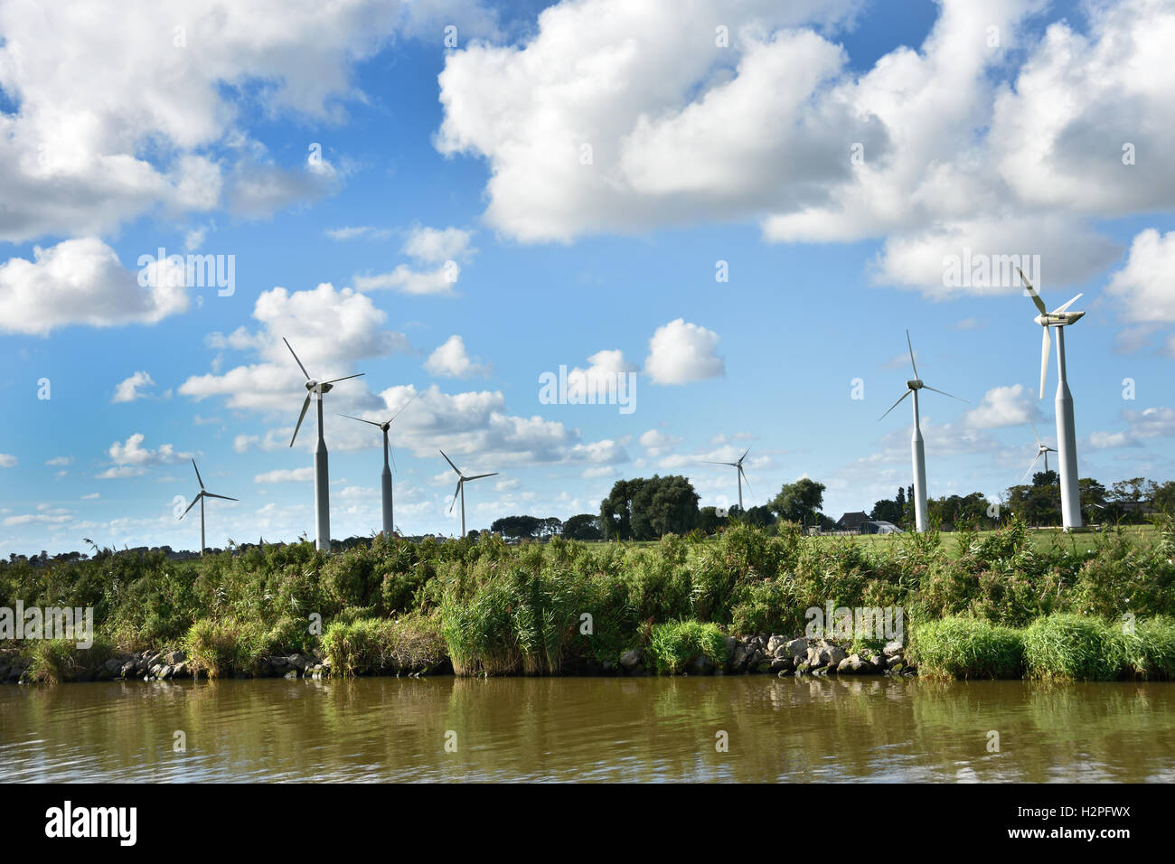 Cow Cows Green Grass Farm Farming Landscape Friesland Fryslan ...