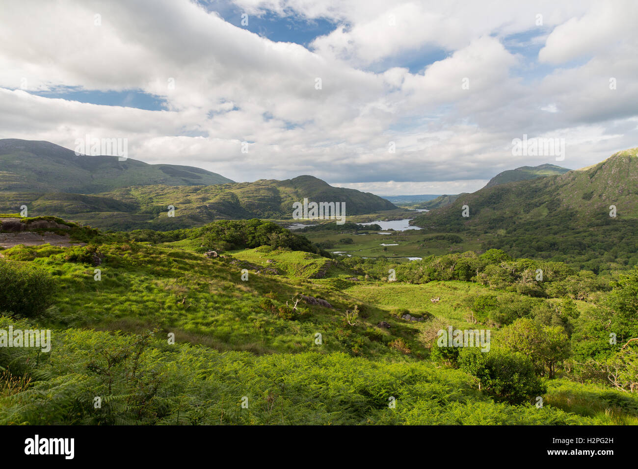 view to Killarney National Park valley in ireland Stock Photo - Alamy