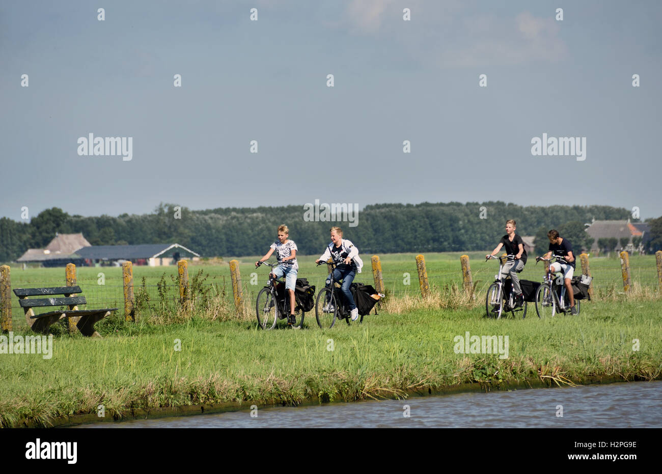 School boy boys Biking Farm Farming Landscape Friesland Fryslan ...